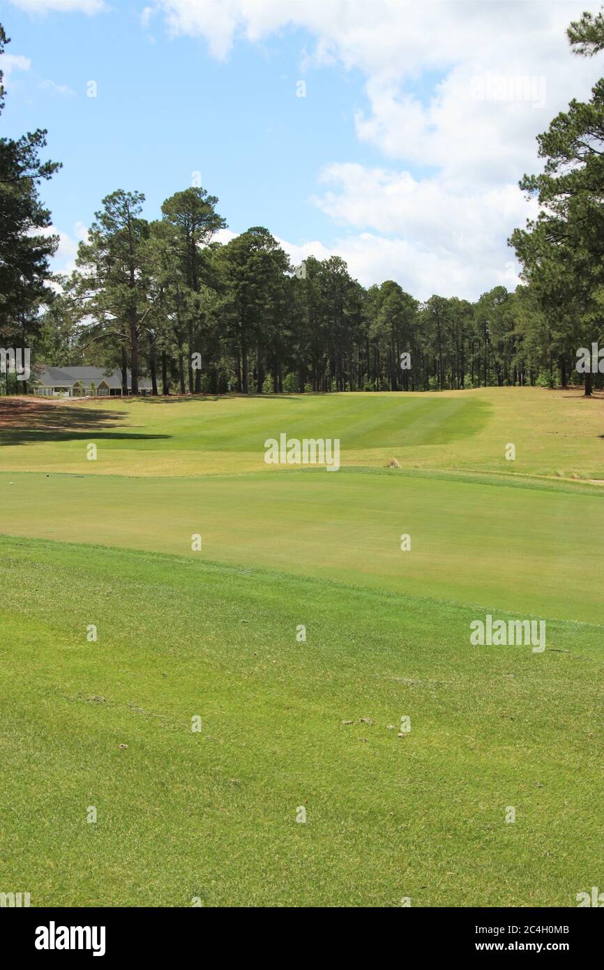 Golf course greens with green grass, trees and blue sky background ...