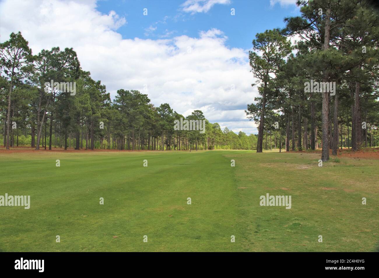 Golf course greens with green grass, trees and blue sky background ...