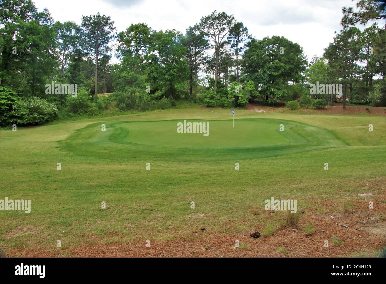 Golf course landscape surrounded by trees, and a blue sky with clouds ...