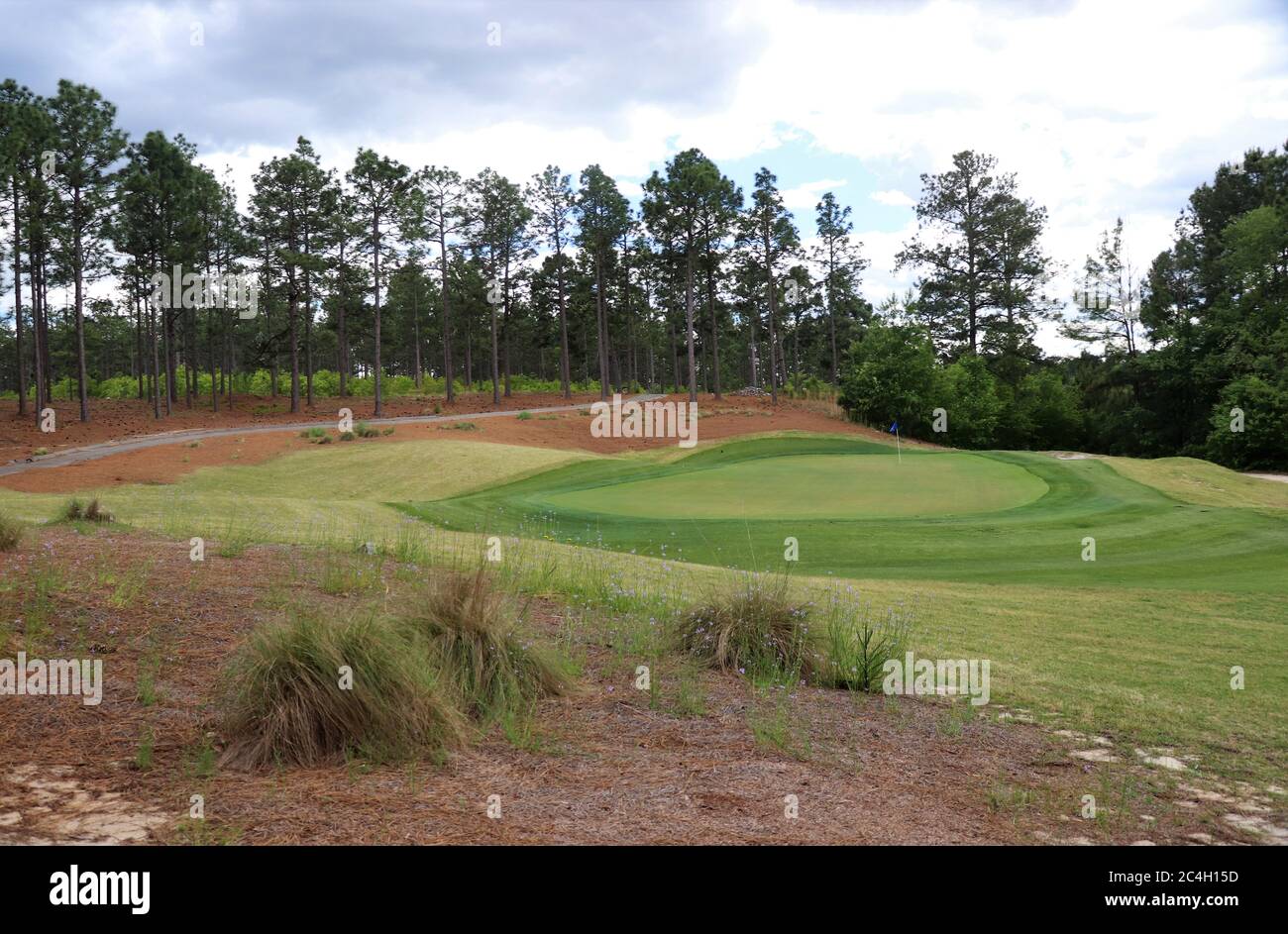 Golf course landscape surrounded by trees, and a blue sky with clouds ...