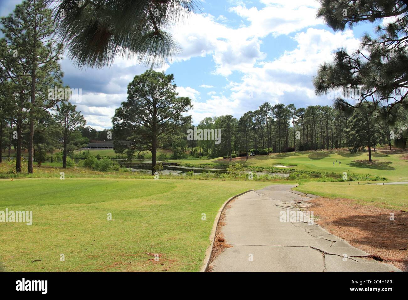Cart path winding through a golf course greens with green grass, trees ...