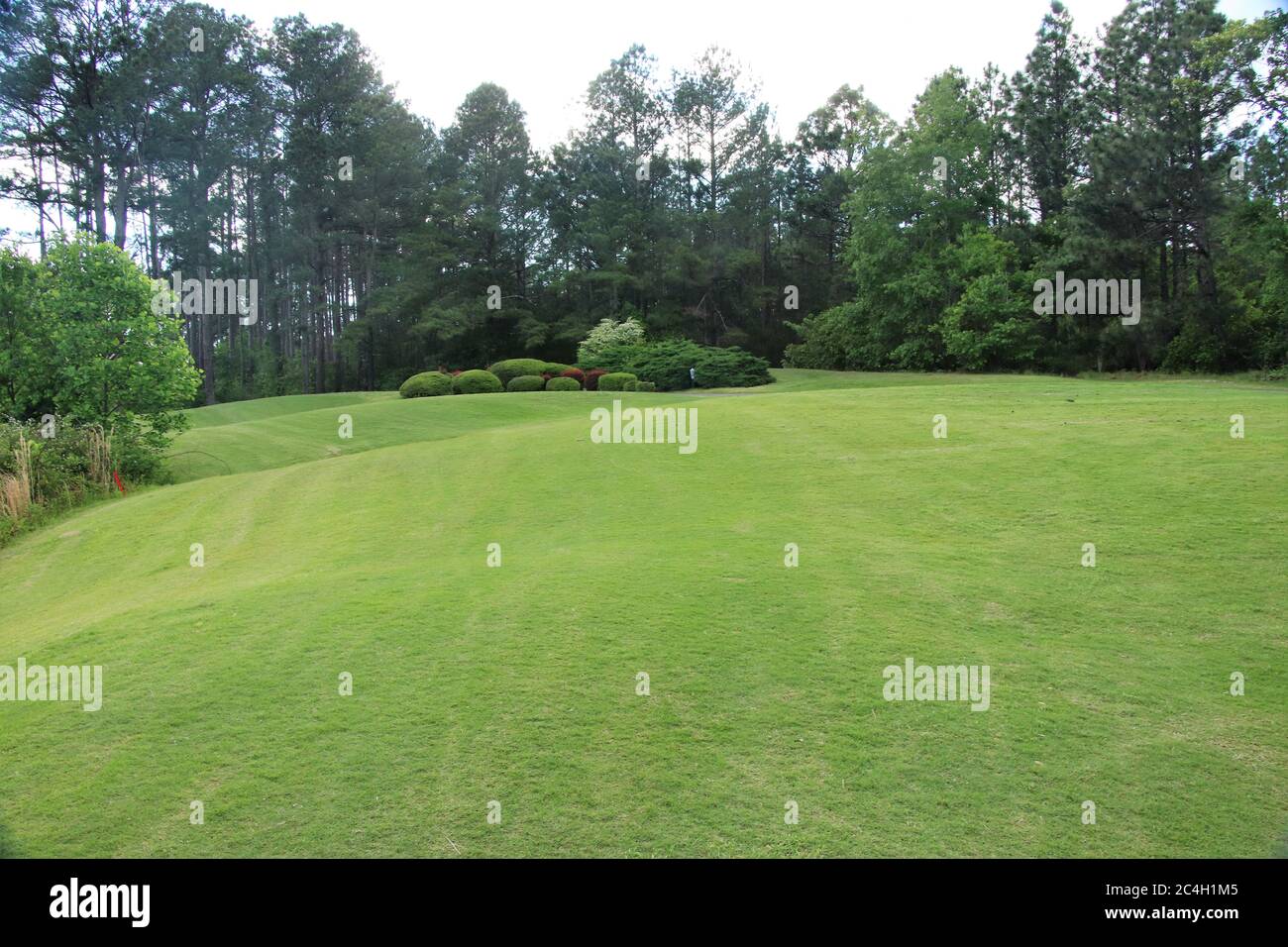 Wide open greens hi-res stock photography and images - Alamy