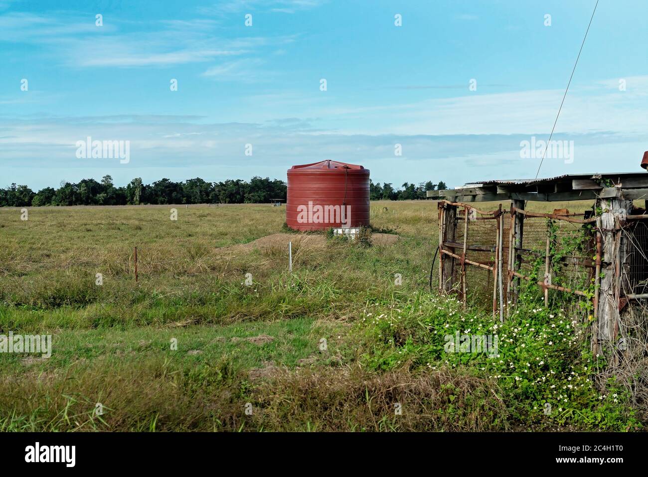 A red tank stand in a country paddock for watering stock Stock Photo ...
