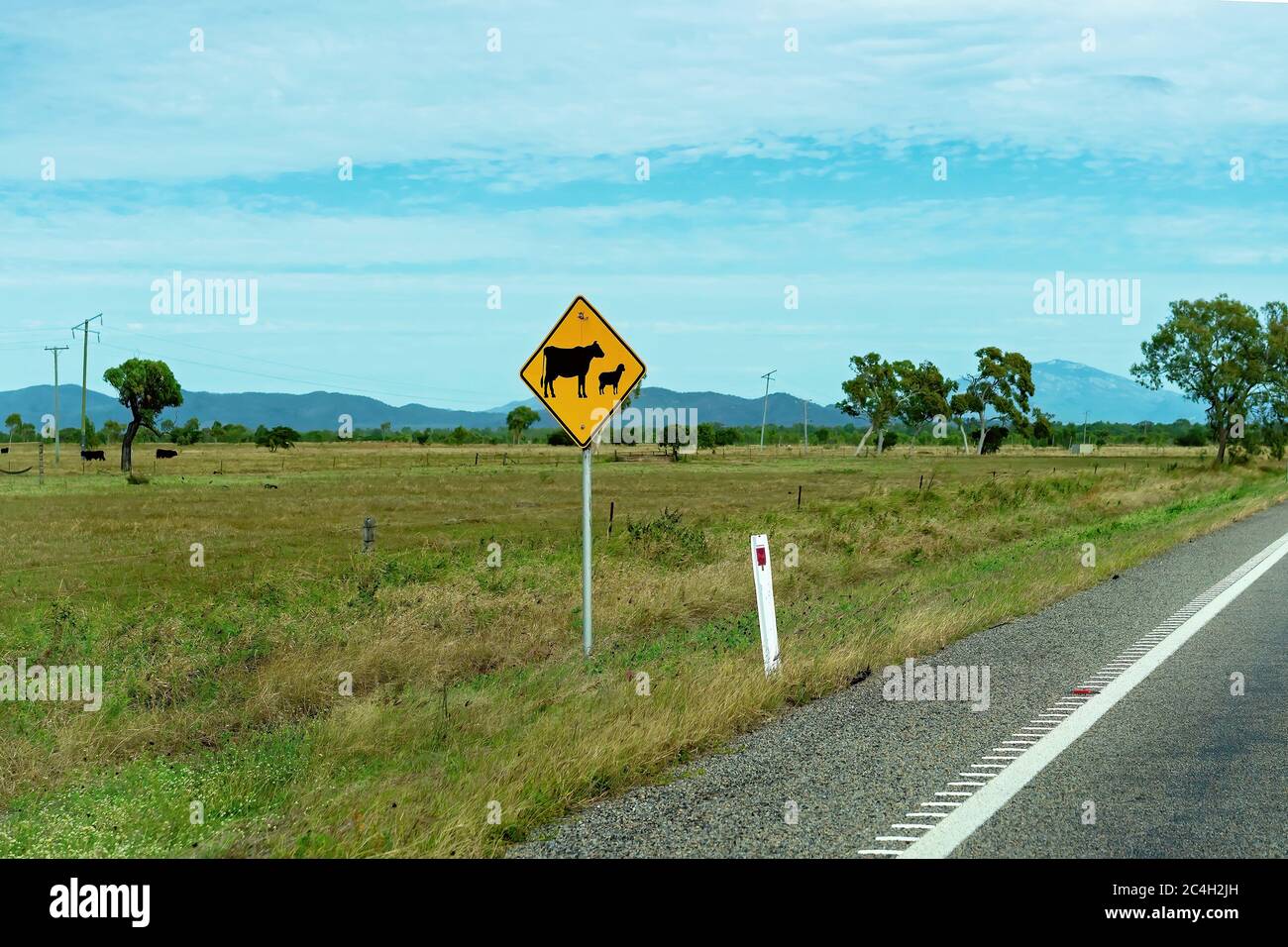 A warning sign using icons to show that cattle may cross the highway at ...