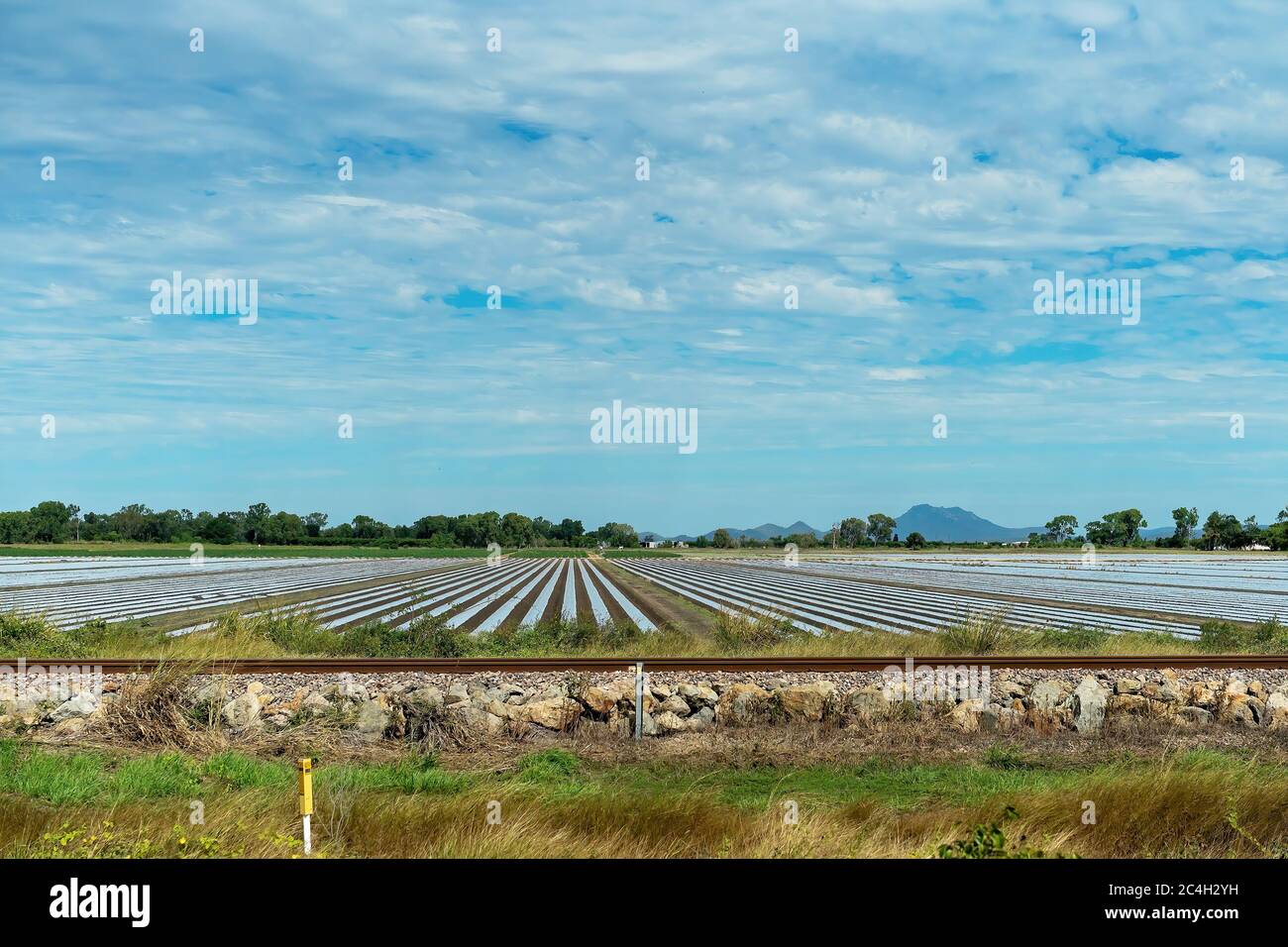 Plastic sheeting weeds hi-res stock photography and images - Alamy