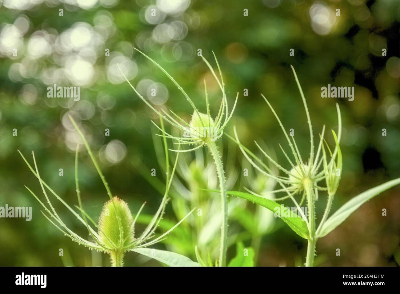 Sloterpark hi-res stock photography and images - Alamy
