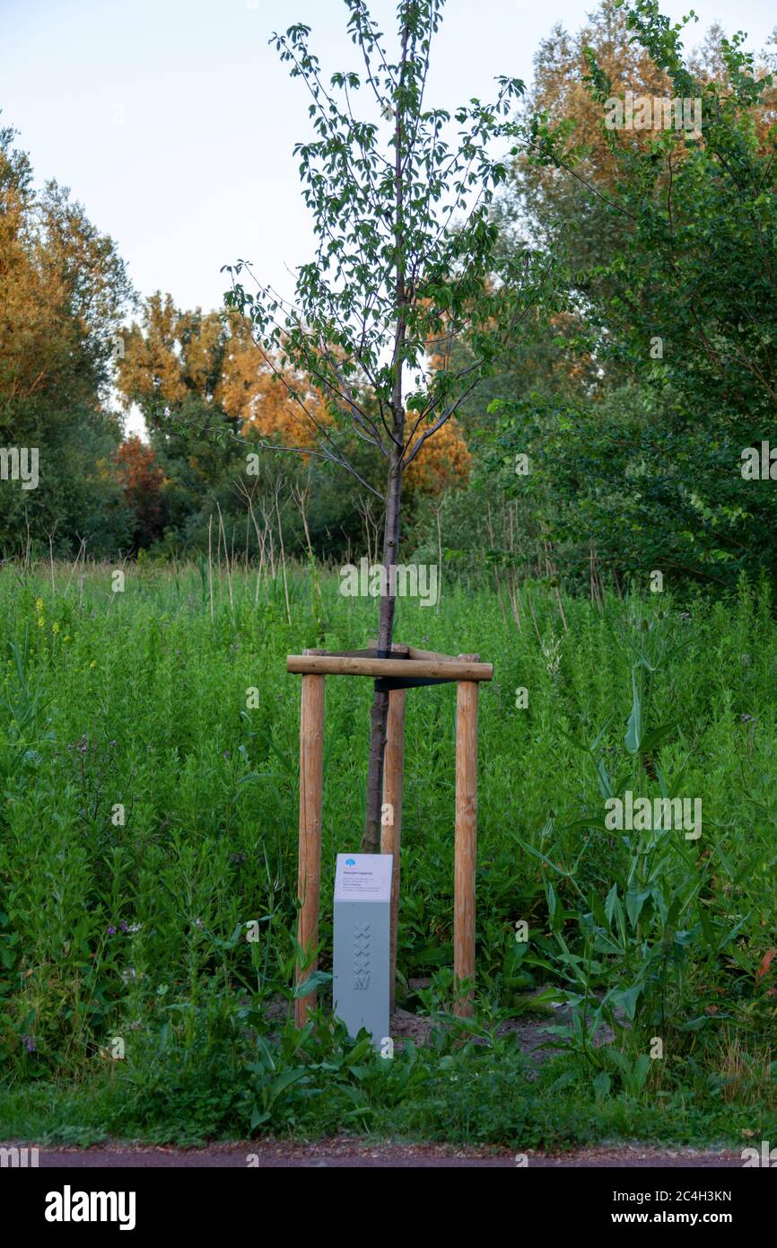 Sloterpark amsterdam amsterdam hi-res stock photography and images - Alamy