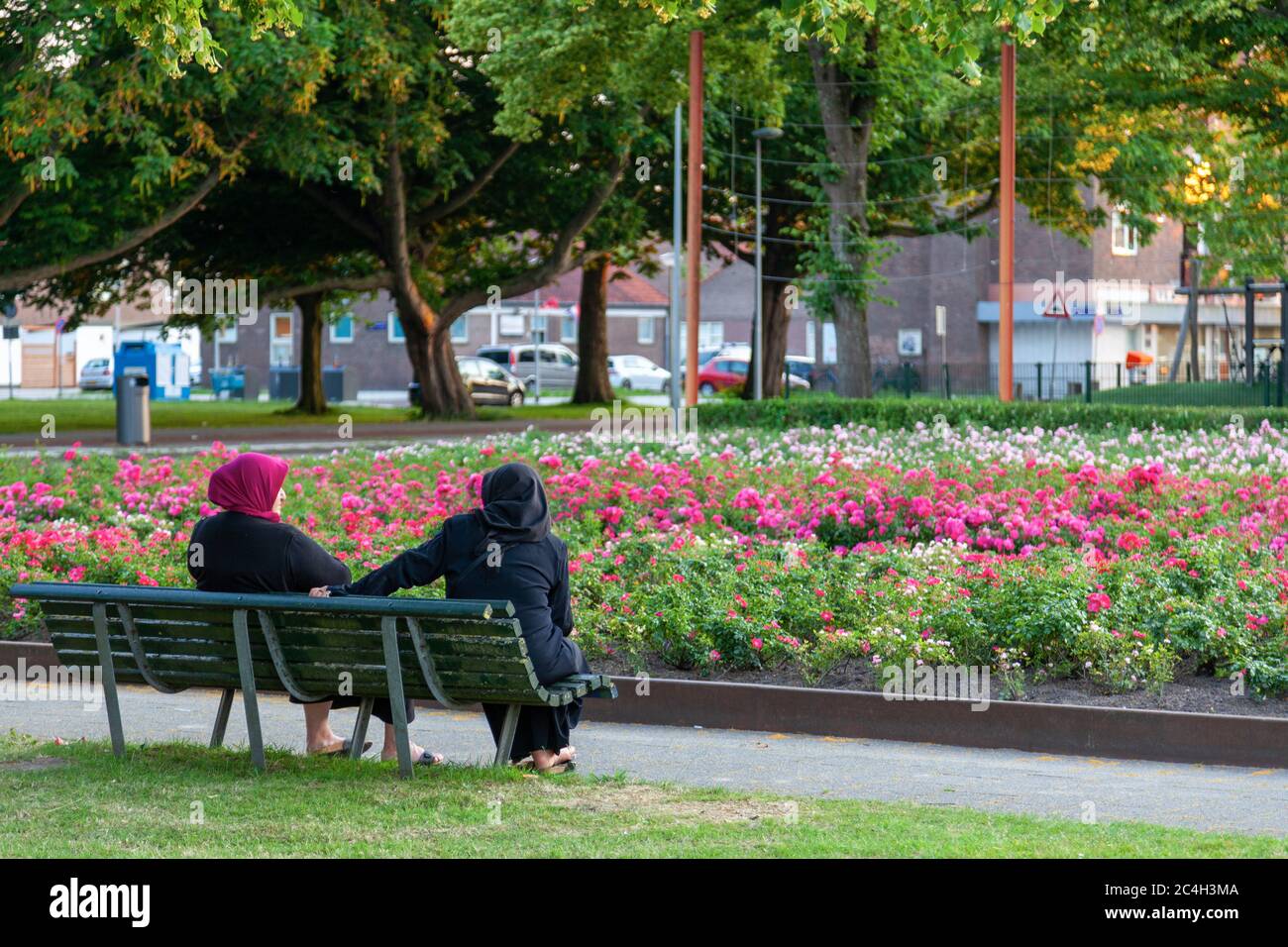 Sloterpark amsterdam amsterdam hi-res stock photography and images - Alamy