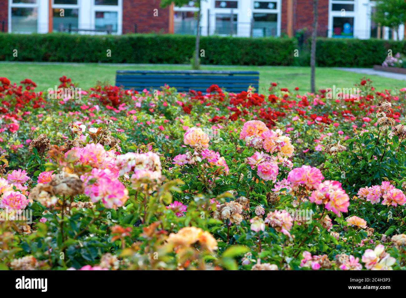 Sloterpark amsterdam hi-res stock photography and images - Alamy