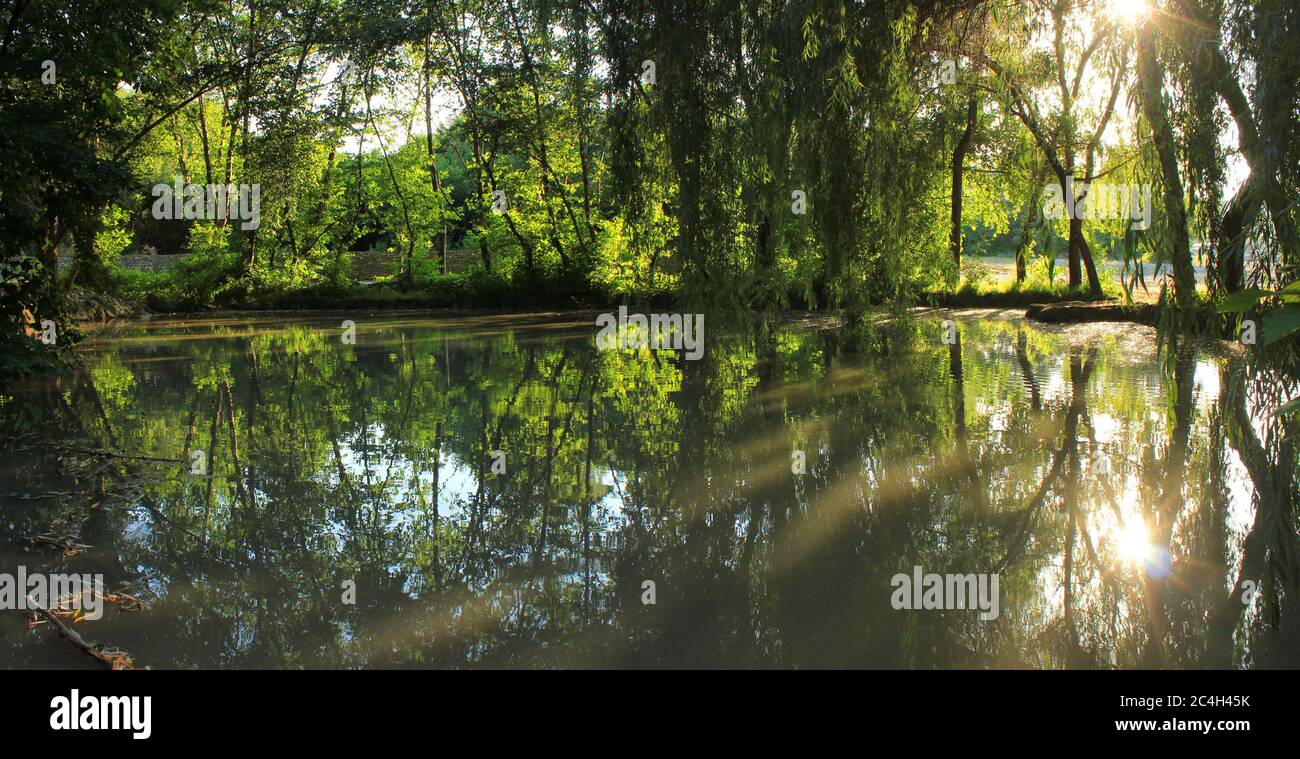 Forest lake at sunset hi-res stock photography and images - Alamy