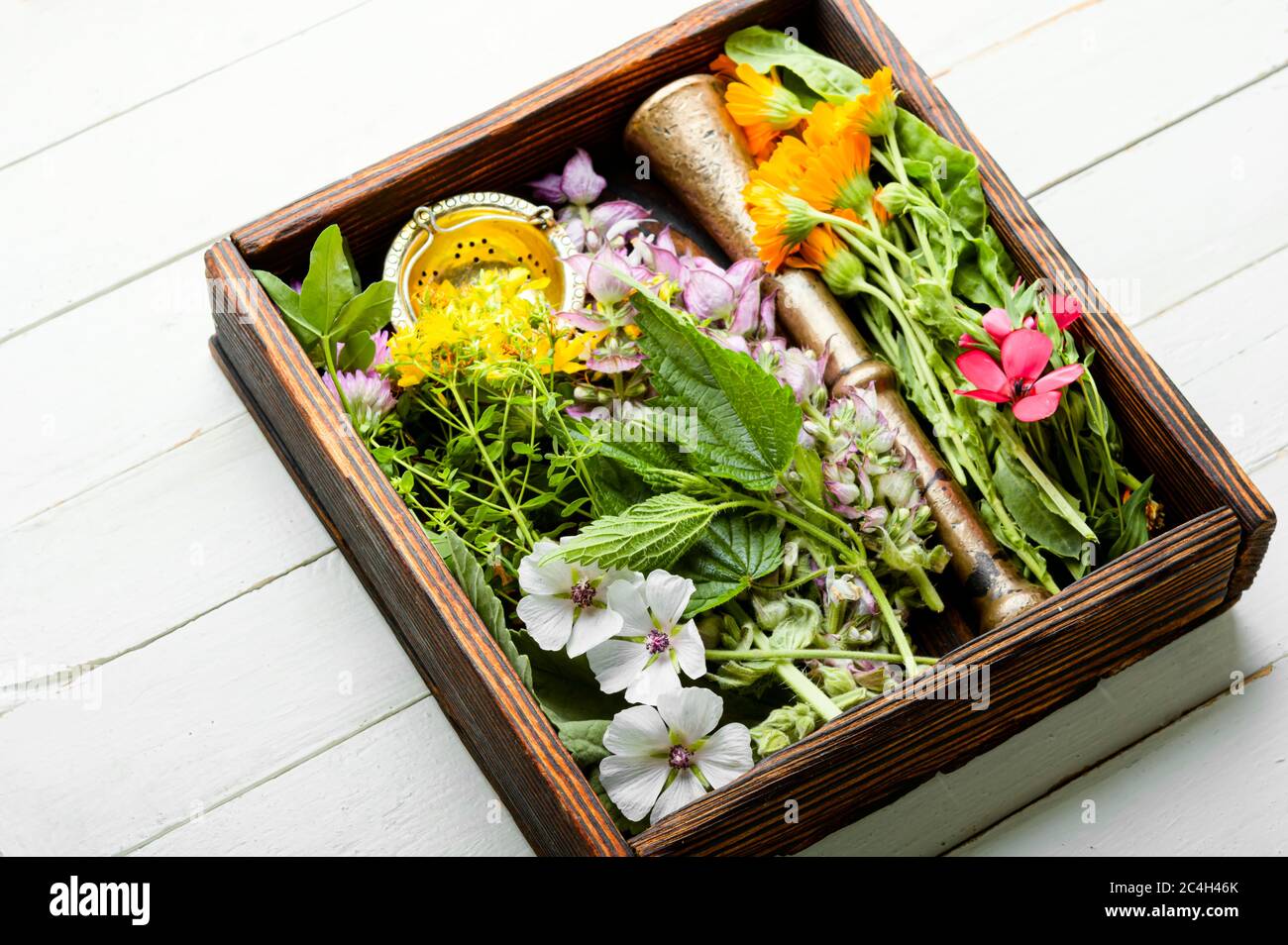 Medicinal healing hi-res stock photography and images - Alamy