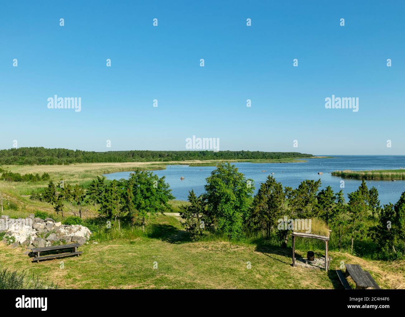 green landscape with a naturally decorated seating area, wooden table ...