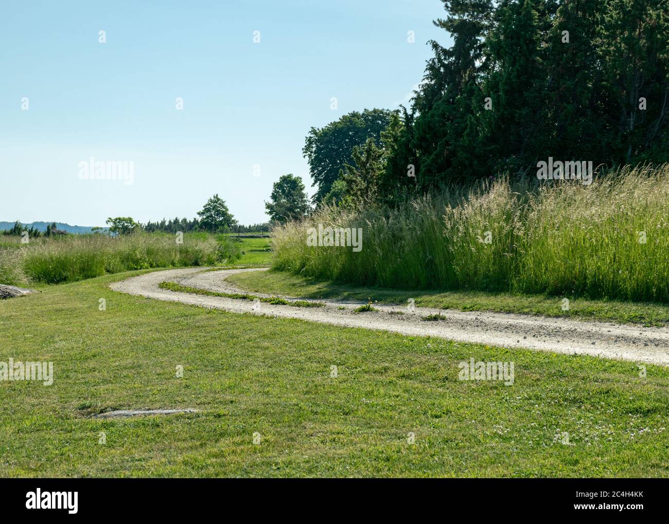 sunny summer landscape with a simple rocky road along the sea shore ...