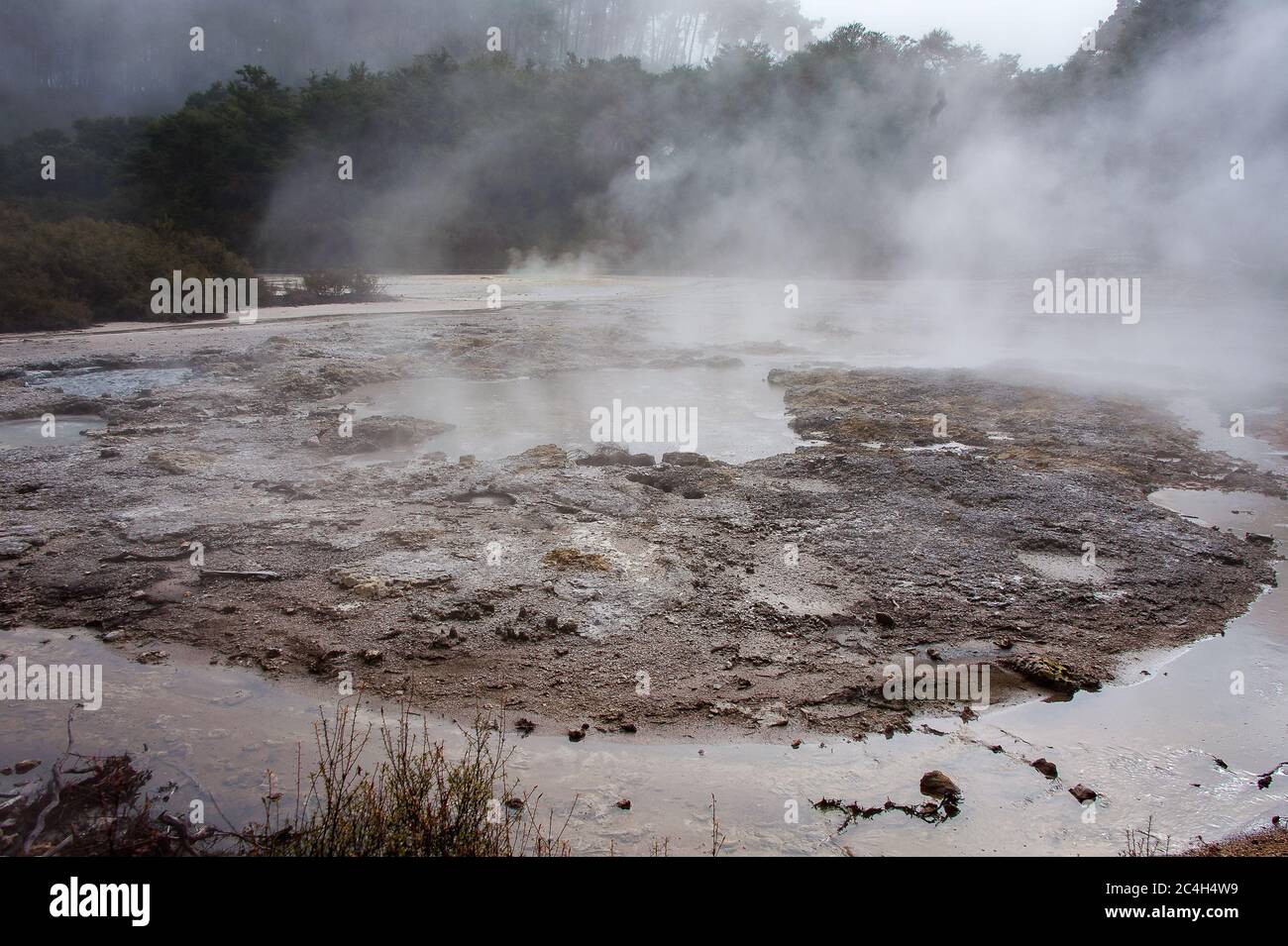 Frying Pan Flat in the Waimangu Volcanic Valley, Wai-O-Tapu, New ...