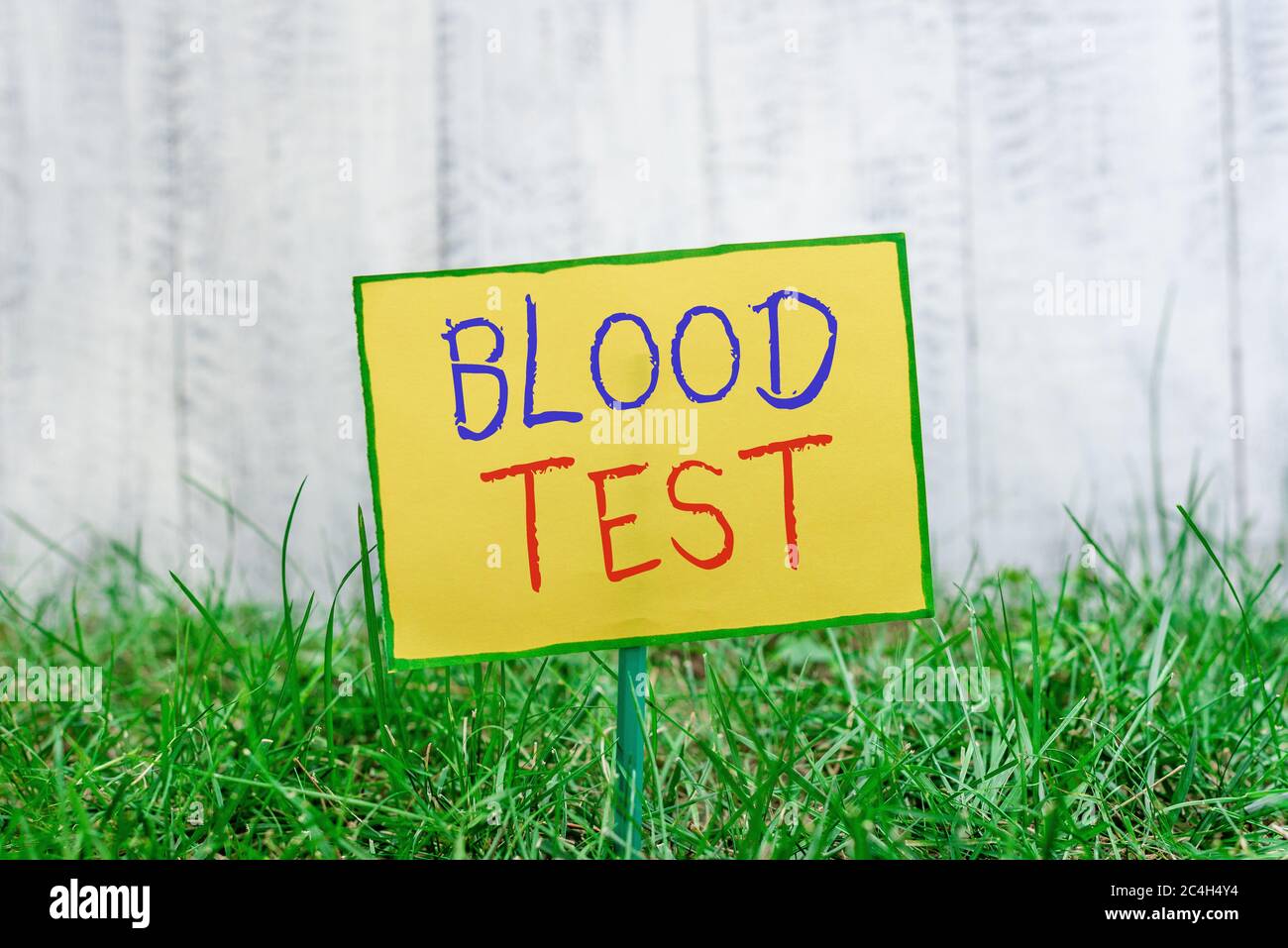 Handwriting text writing Blood Test. Conceptual photo Extracted blood ...