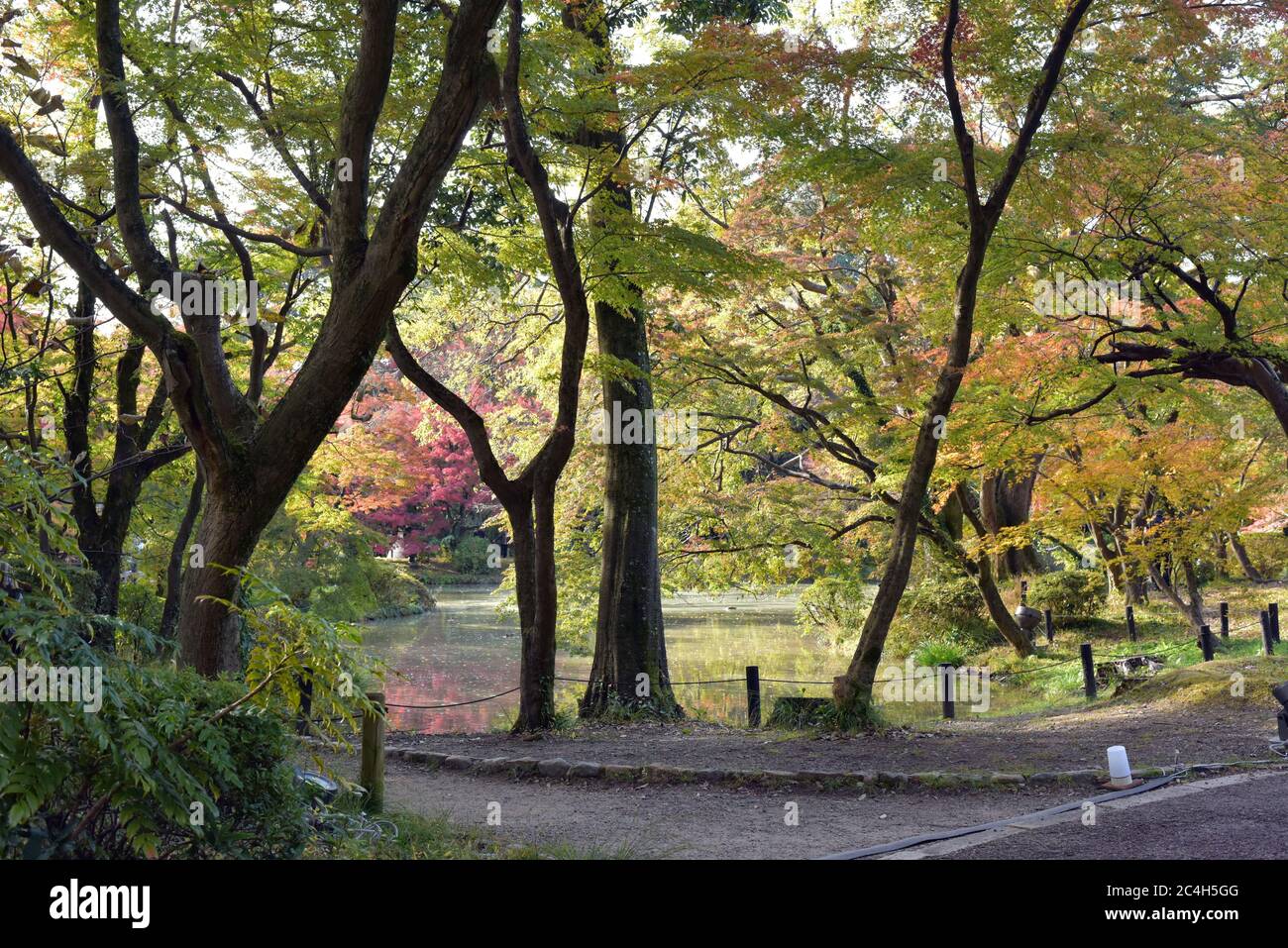 Kyoto Botanical Garden Japan Stock Photo - Alamy