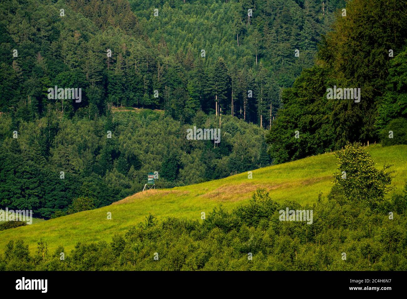Landscape above the town of Meschede in the Hochsauerlandkreis, NRW ...