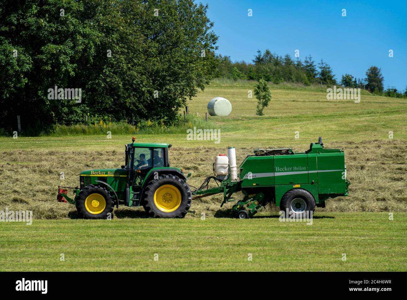 Hay harvest, farmer with agricultural machine, picks up mown hay, which ...