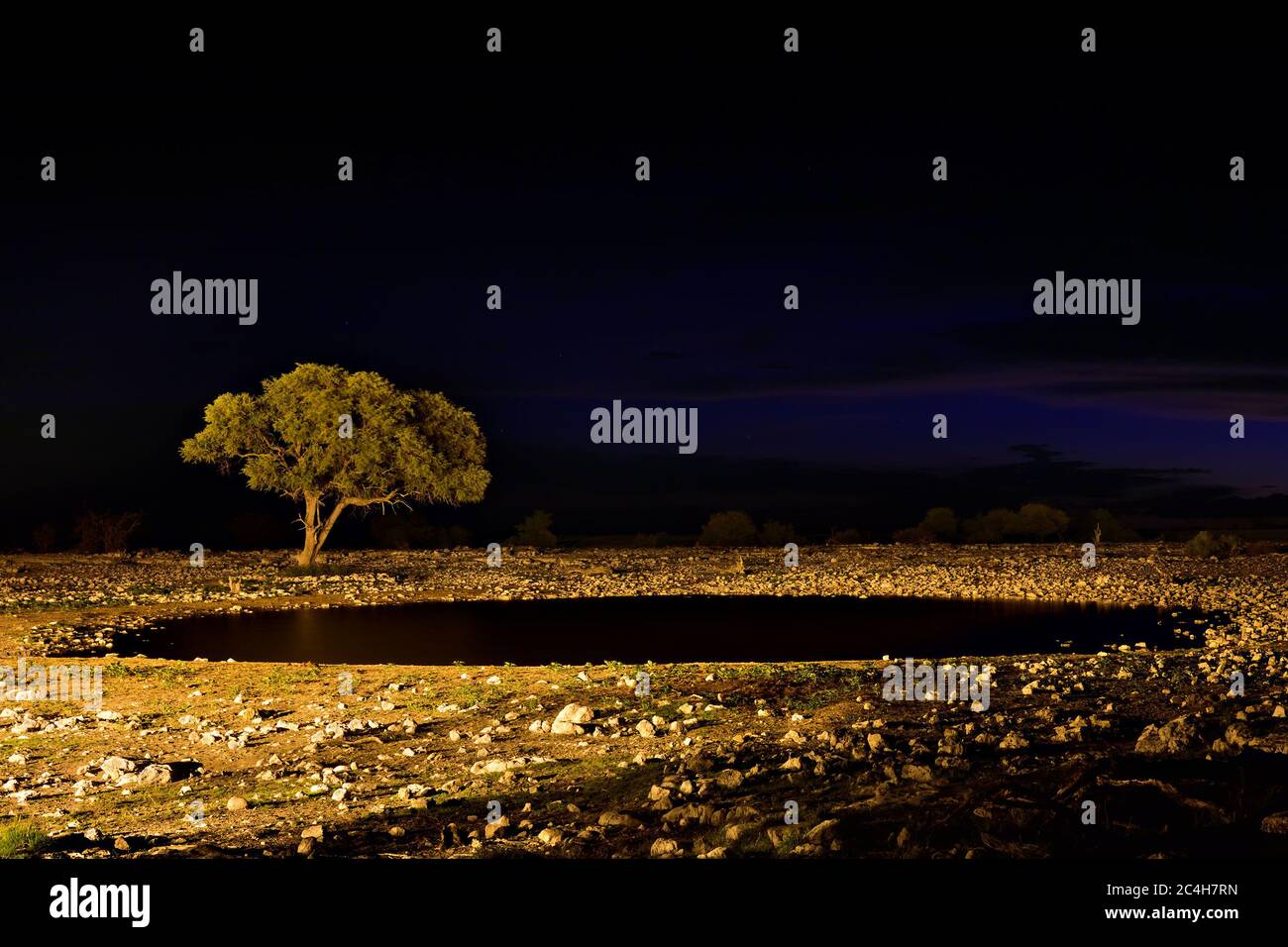 African night sky hi-res stock photography and images - Alamy