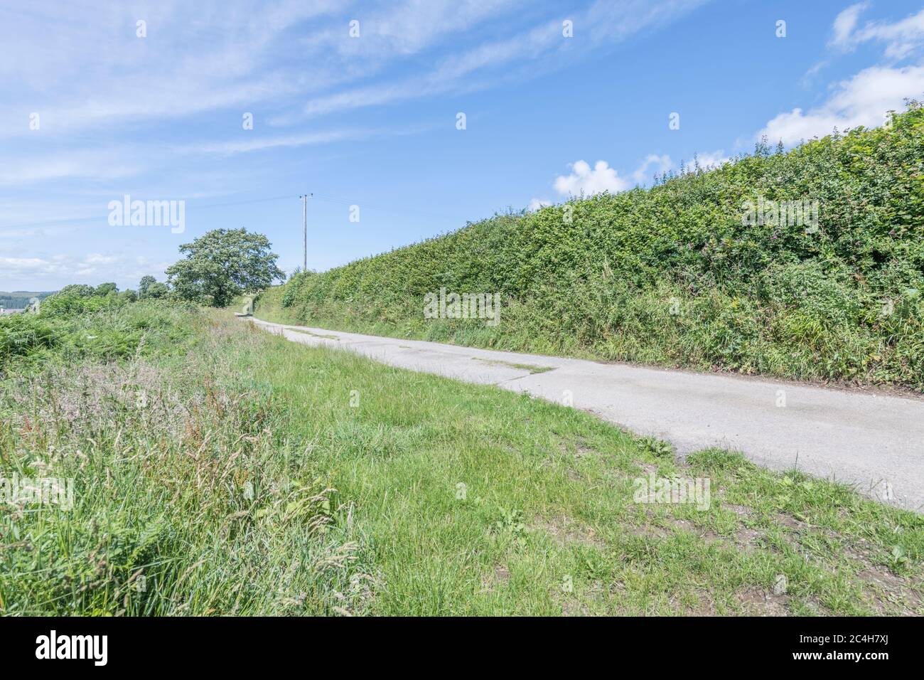 Typical cornish country road hi-res stock photography and images - Alamy