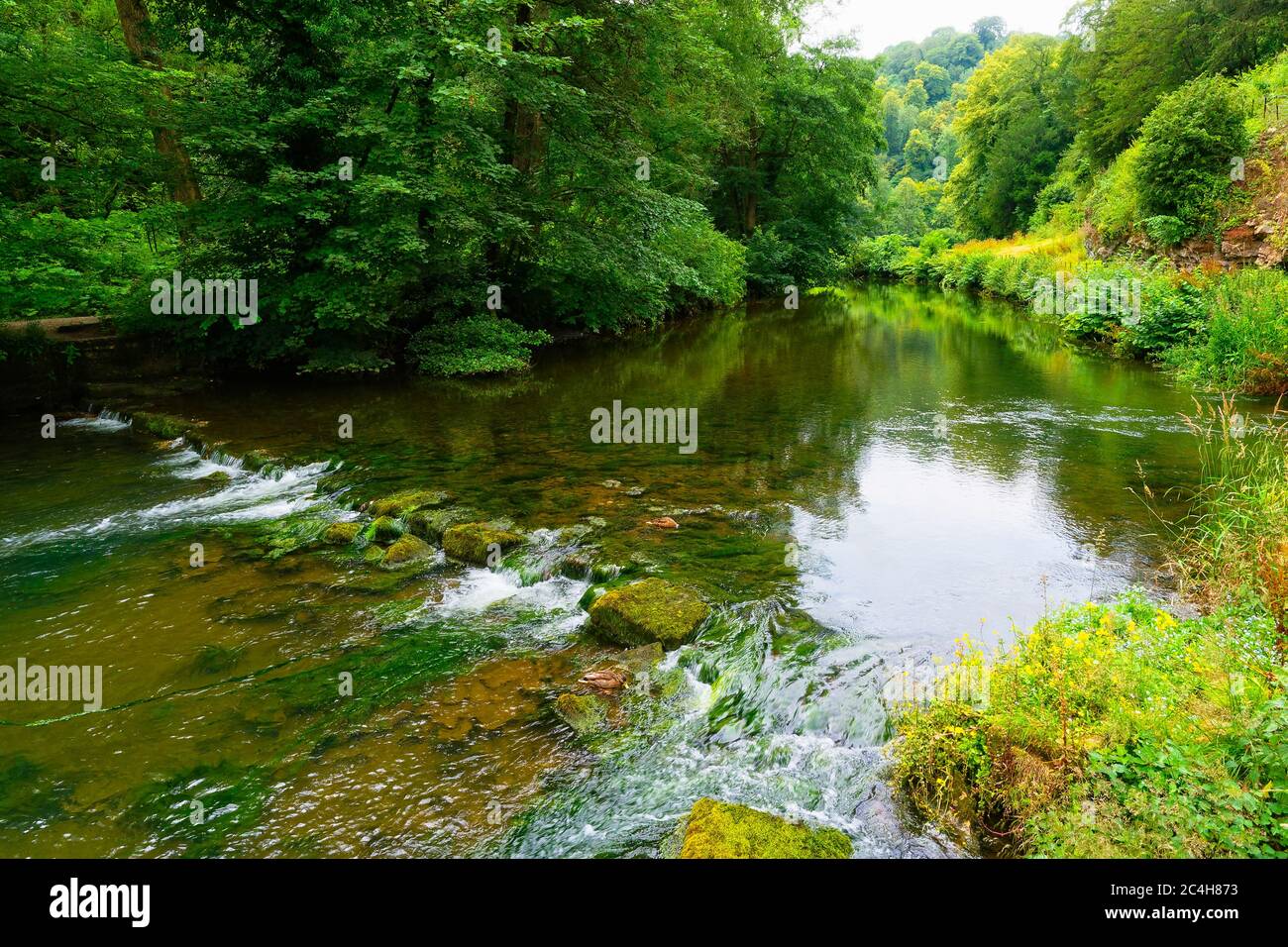 A bright misty summer day at the side of the River Manifold in the ...