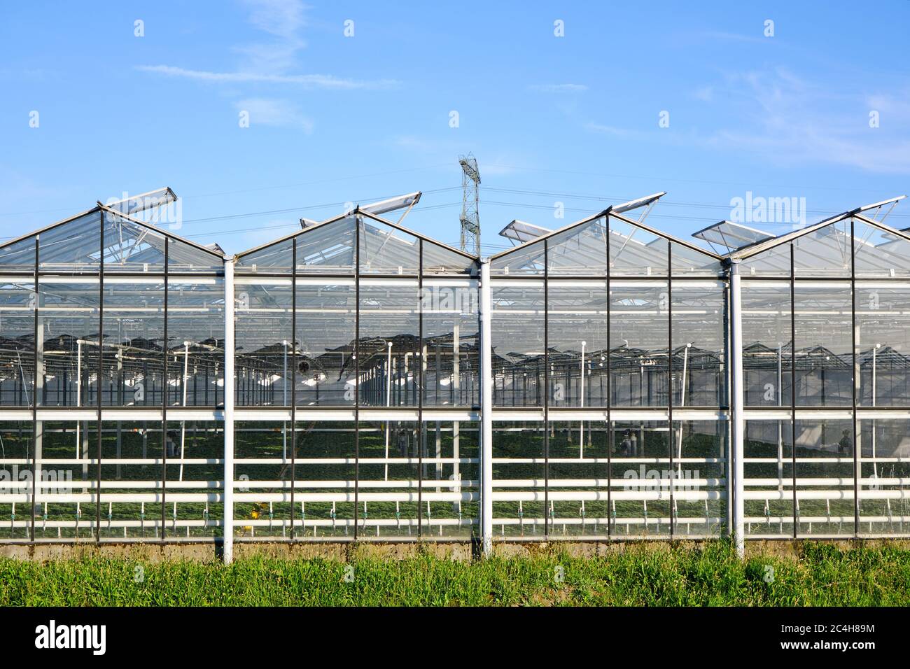 Glasshouse, greenhouse front view, exterior glass facade with open ...