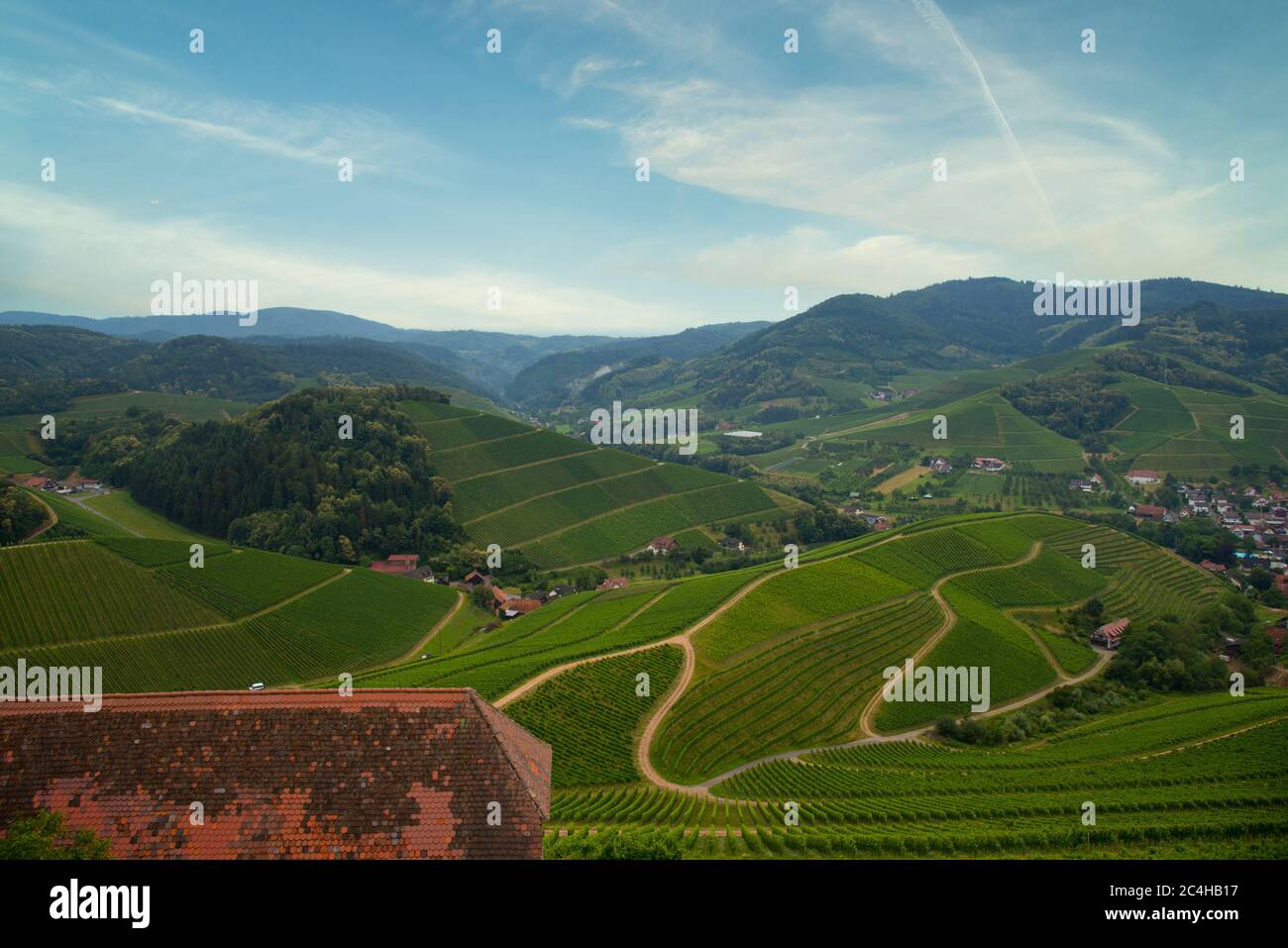 vineyards around Durbach in the Black forest in germany Stock Photo - Alamy