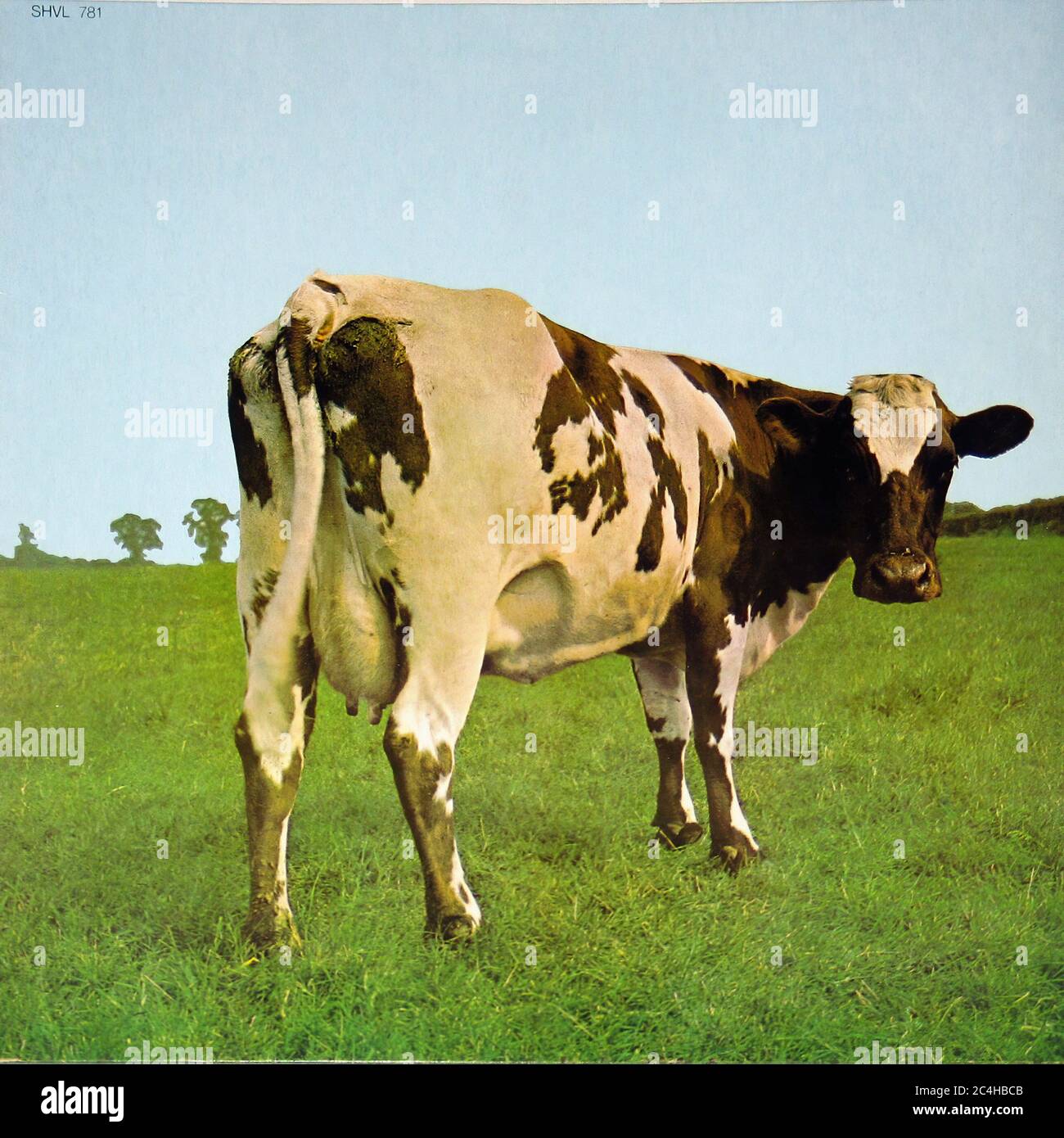 Atom Heart Mother Album Cover Atom Heart Mother Pink Floyd