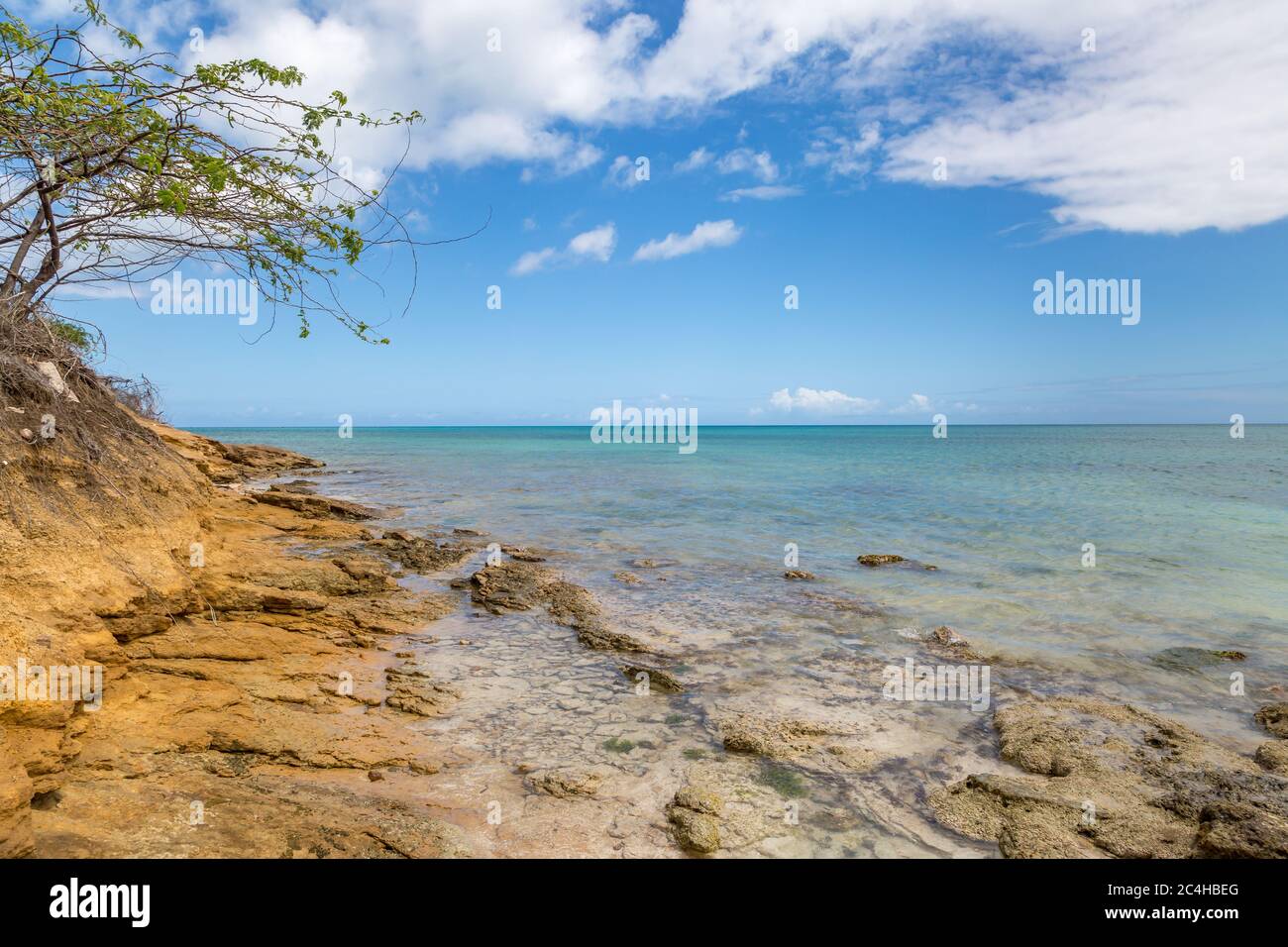 A rugged coastal landscape on the Caribbean island of Antigua Stock ...