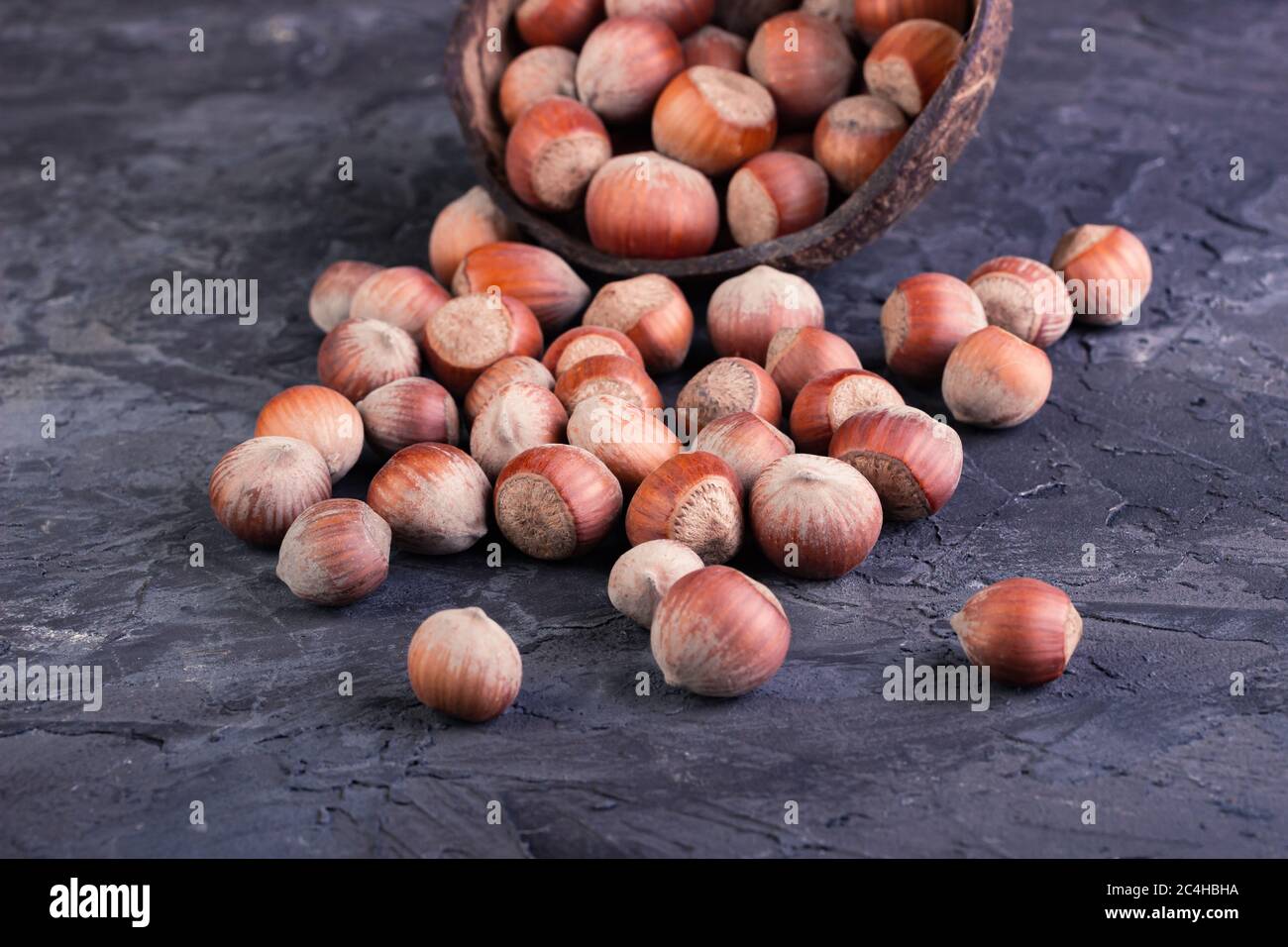 Shells in concrete hi-res stock photography and images - Alamy