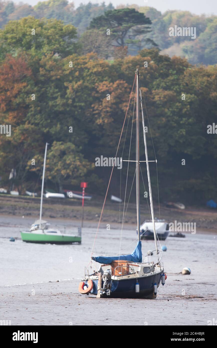 Stoke gabriel in devon hi-res stock photography and images - Alamy