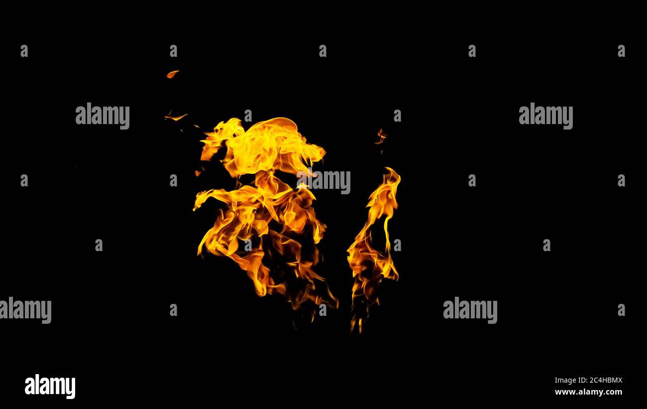 Fire flames on black background isolated. Burning gas or gasoline burns ...