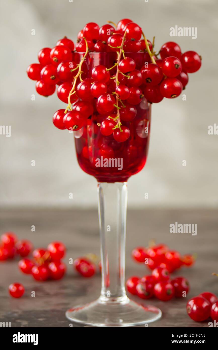 Red currant in a shot glass, the rest is scattered around it on a gray ...