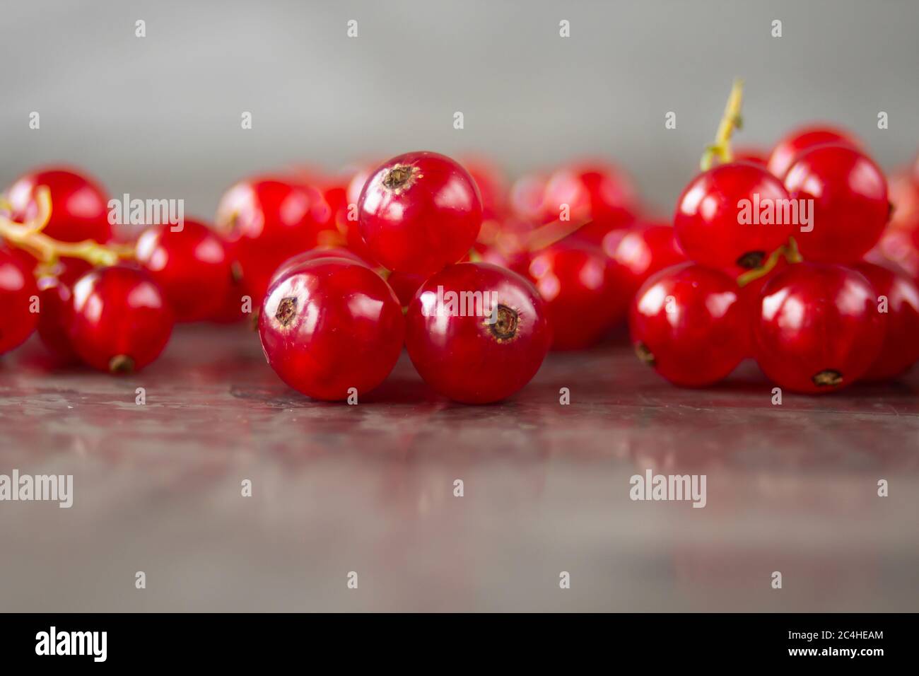 Red currants scattered over a gray texture background. High quality ...