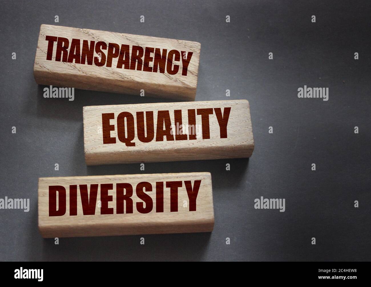 Transparency Equality diversity words on long wooden blocks on black ...