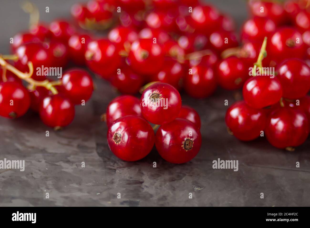 Red currants scattered over a gray texture background. High quality ...