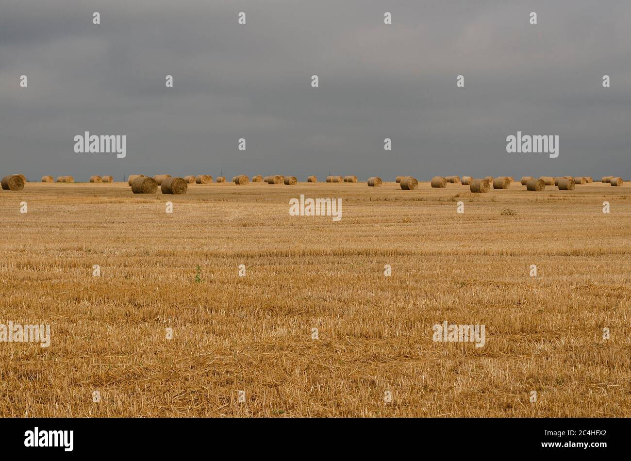 Straw bales in the fields of northern Bulgaria Stock Photo - Alamy