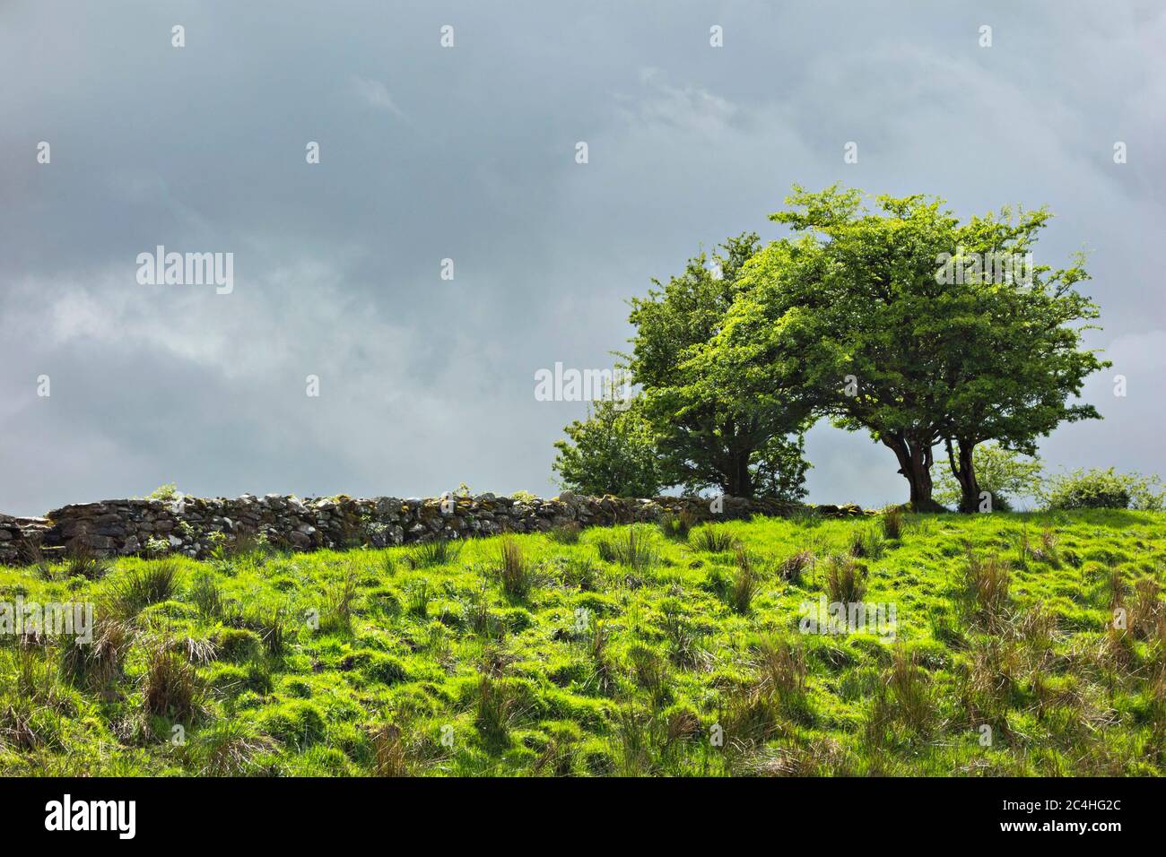 Irish landscape stone walls hi-res stock photography and images - Alamy