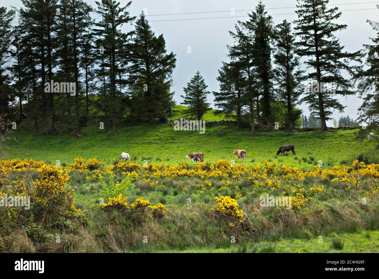 County mayo landscapes hi-res stock photography and images - Alamy