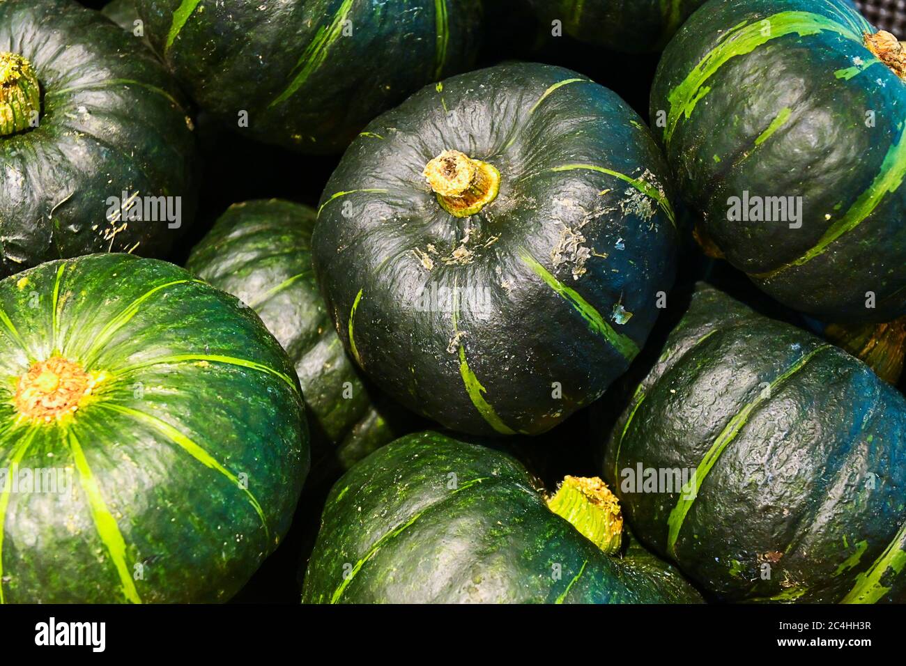 Green kabocha for sale hi-res stock photography and images - Alamy