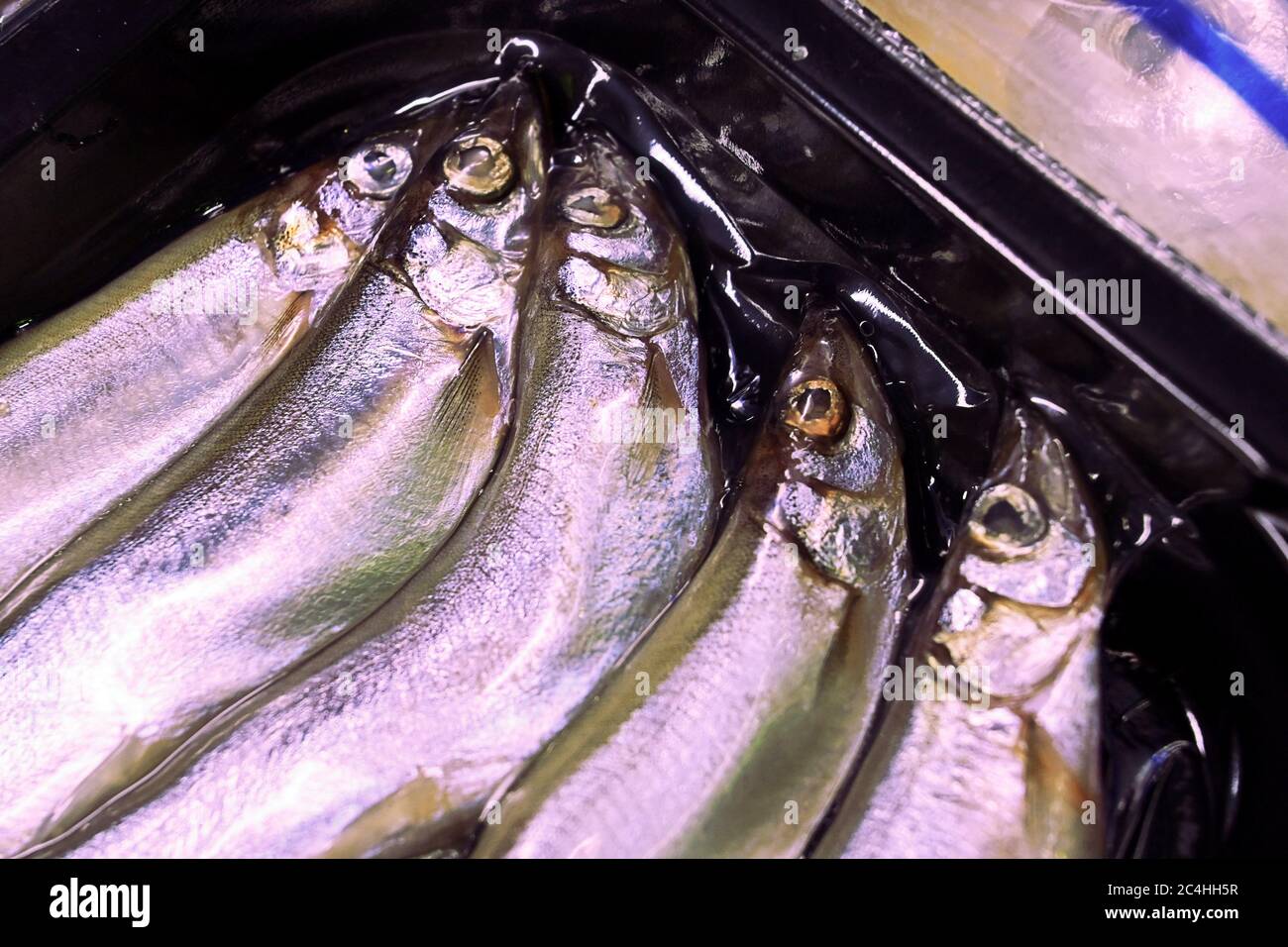 Five shishamo (willow fish) in a box Stock Photo - Alamy