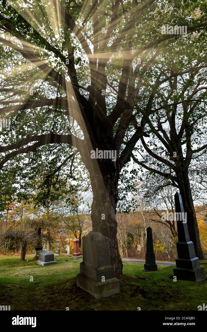 Gravestone in sun hi-res stock photography and images - Alamy