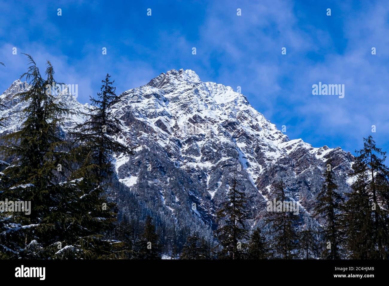 snow-covered mountain with pine trees at the bottom of the mountain ...
