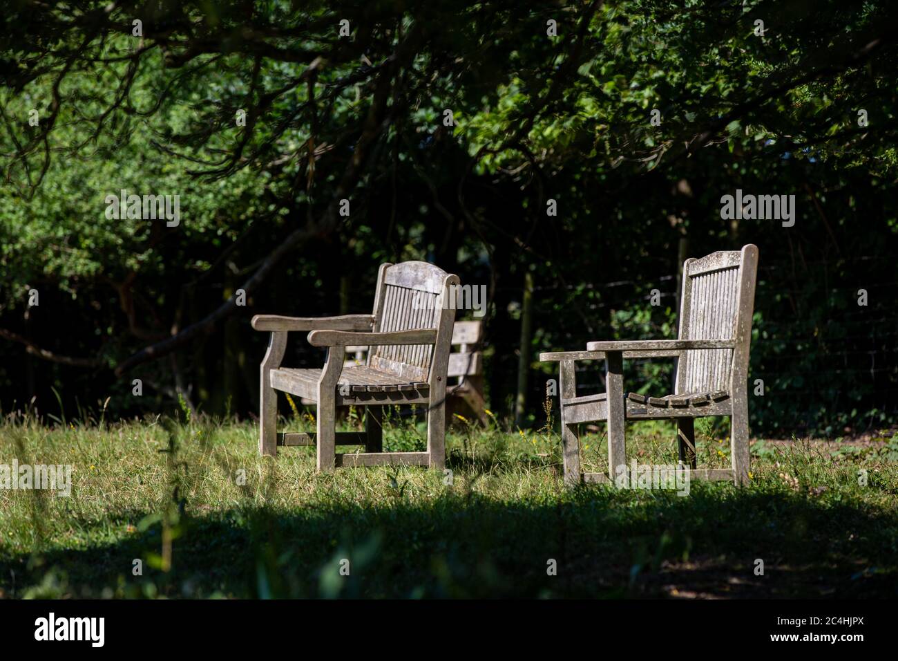 Looking through tees at two empty wooden benches Teston Bridge Country ...