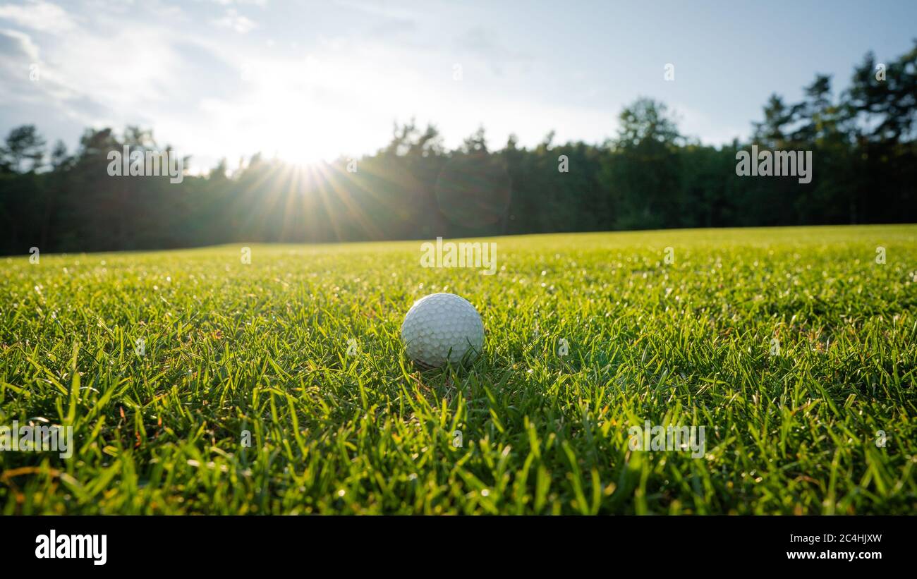 Green grass with golf ball close-up in soft focus at sunlight. Sport ...