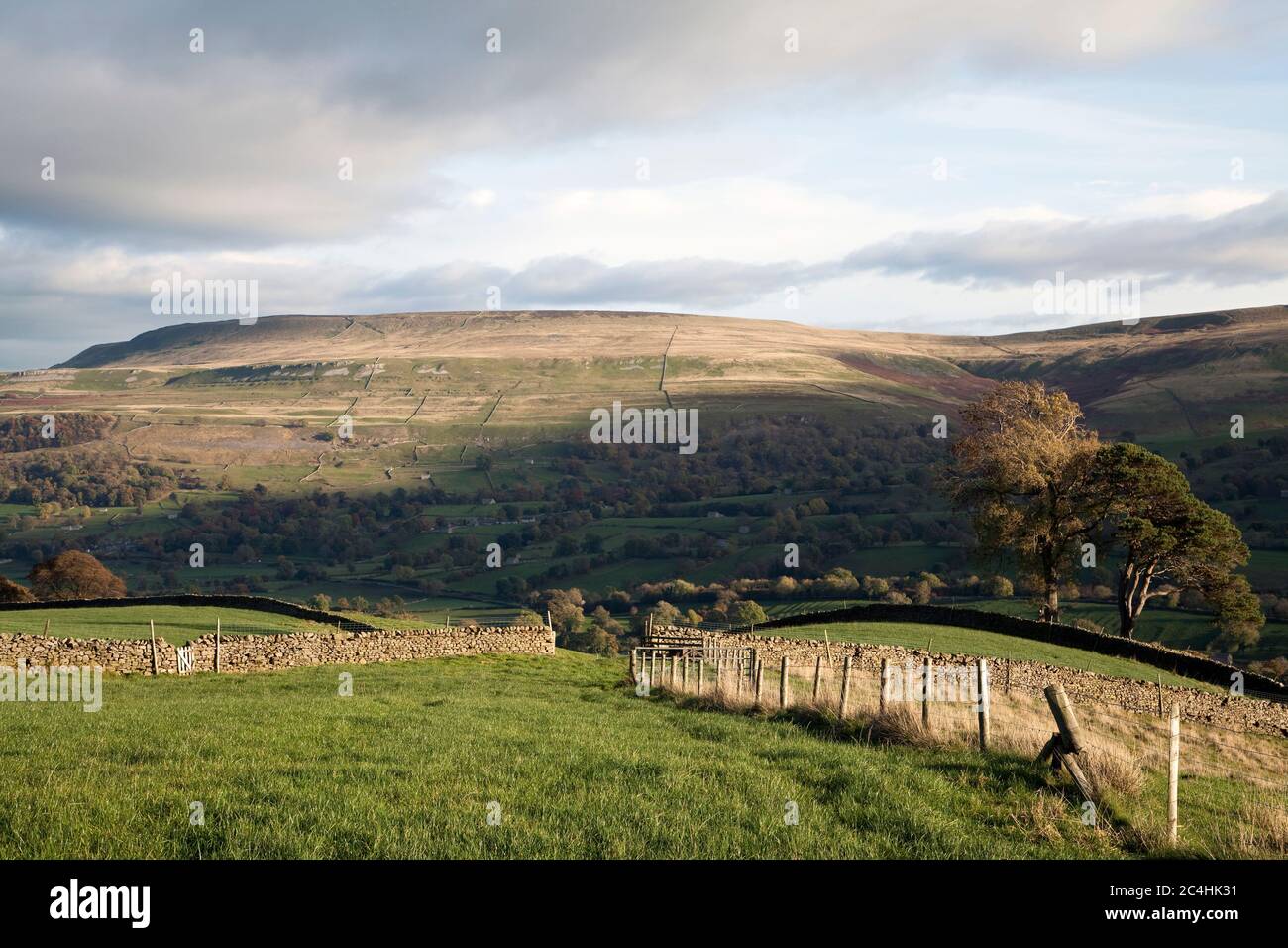 Bishopdale view of Penhill in the Yorkshire Dales, UK Stock Photo - Alamy