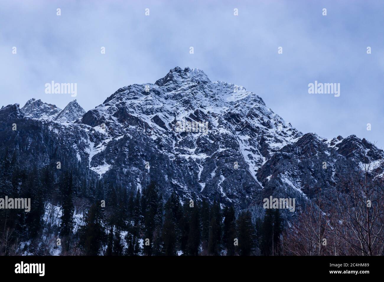 snow-covered mountain with pine trees at the bottom of the mountain ...