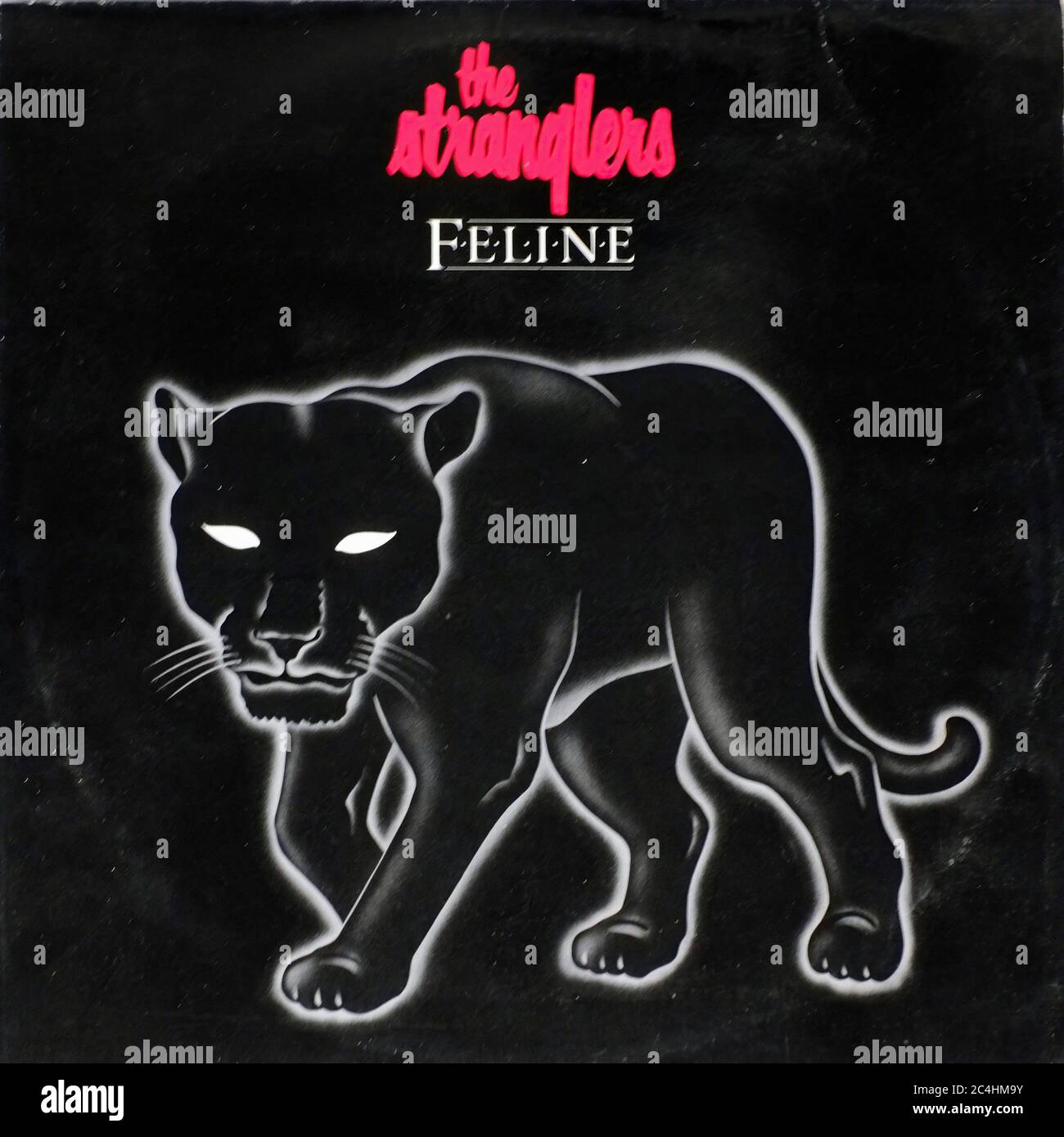 Stranglers Feline 12'' Lp Vinyl - Vintage Record Cover Stock Photo - Alamy