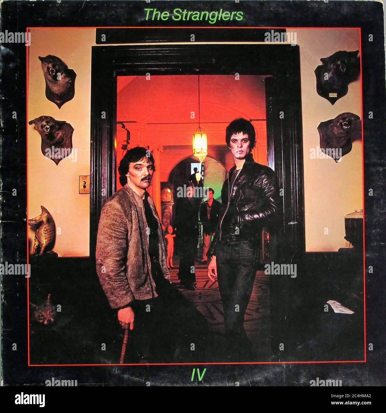 Stranglers iv rattus norvegicus hi-res stock photography and images - Alamy