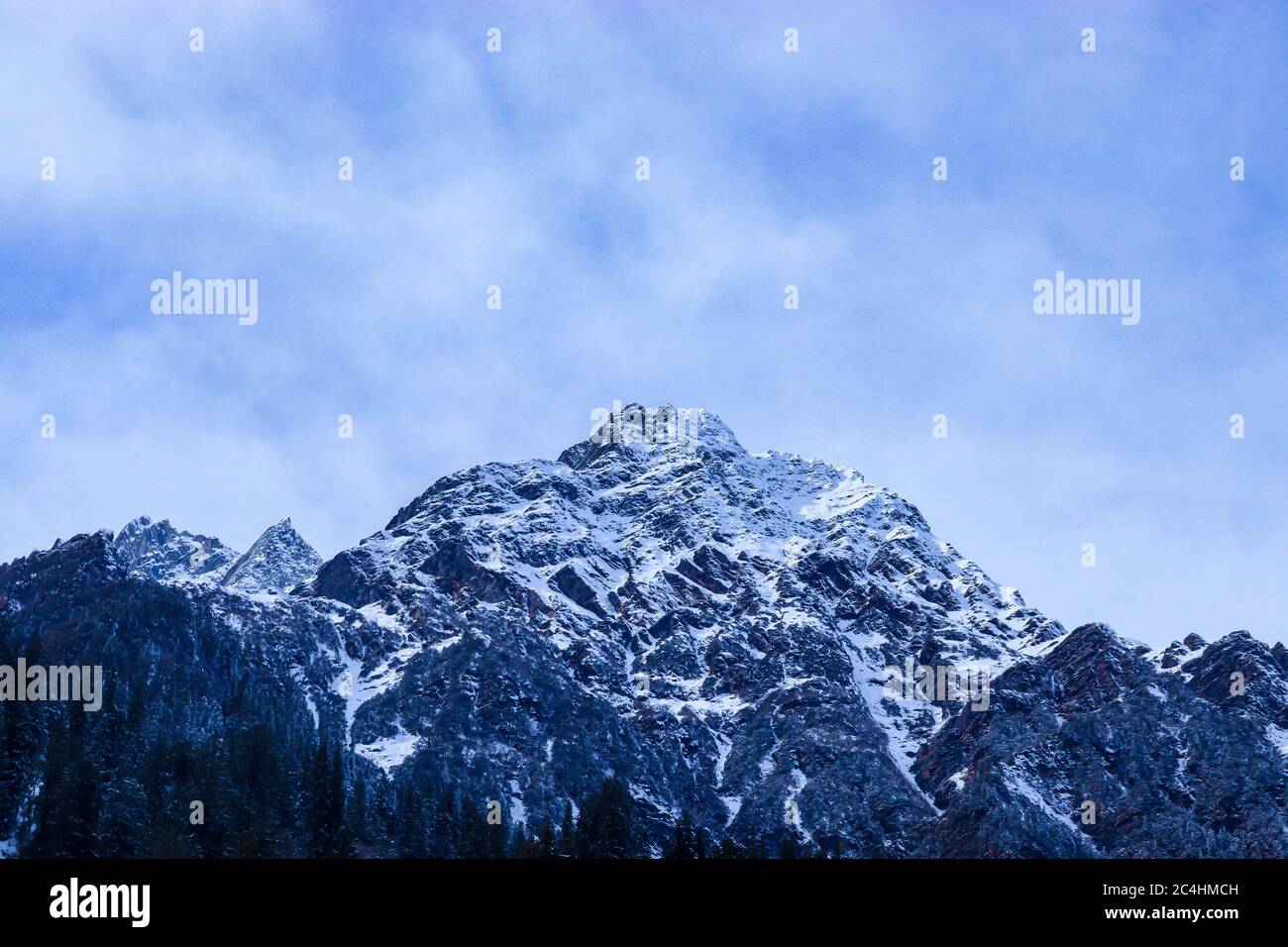 snow-covered mountain with pine trees at the bottom of the mountain ...